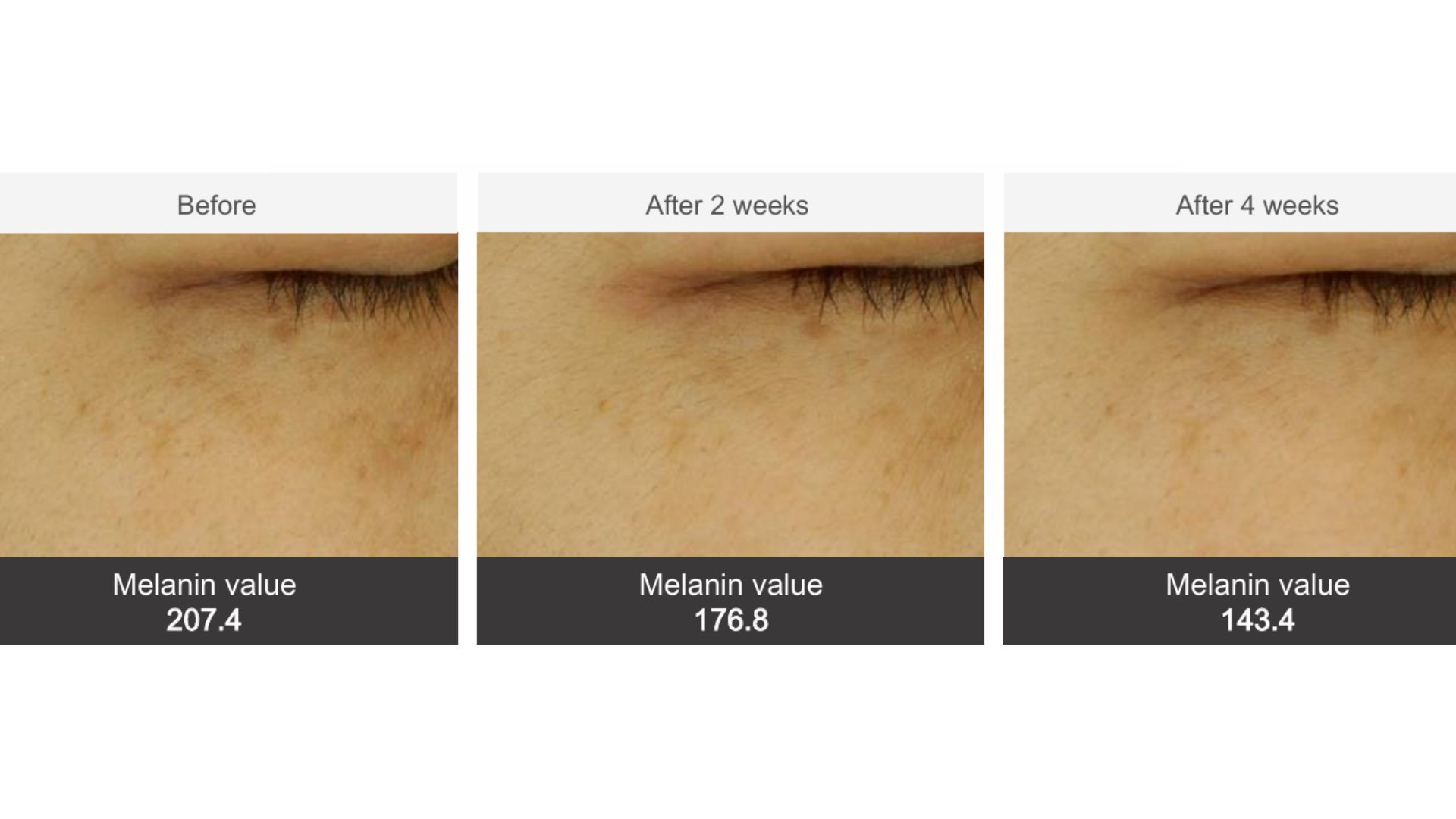 The Eternal Nature | Maha Asia